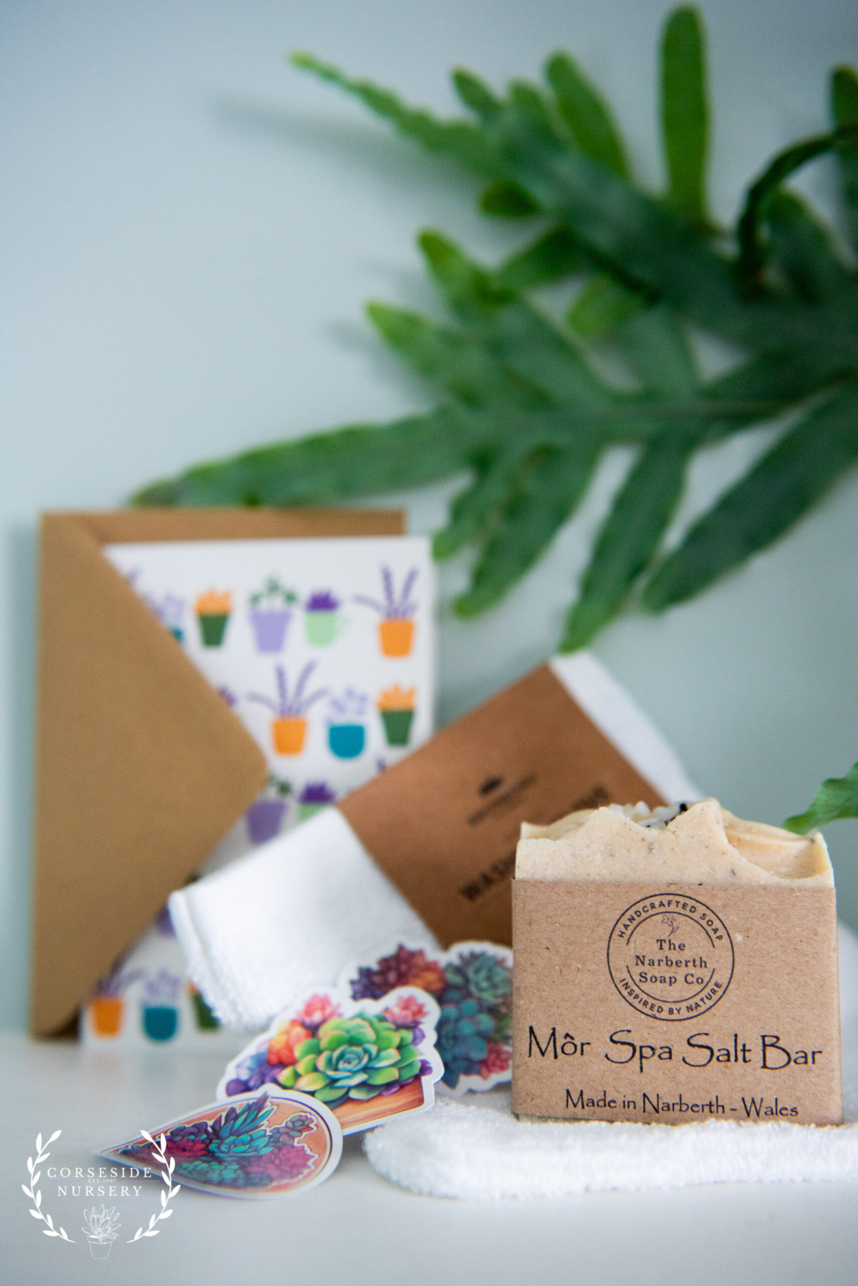 Exfoliating “Gardeners Soap” Giftset – Corseside Nursery Pembrokeshire ...